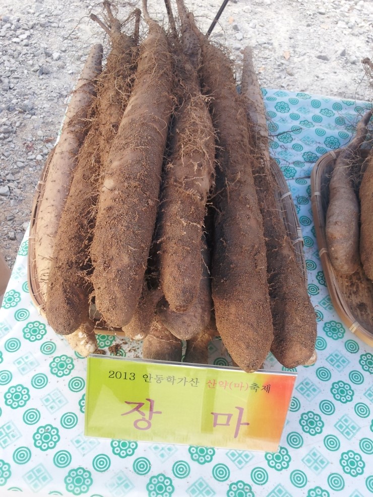 마효능 마효능 및 마먹는법과 마 요리종류 네이버 블로그
