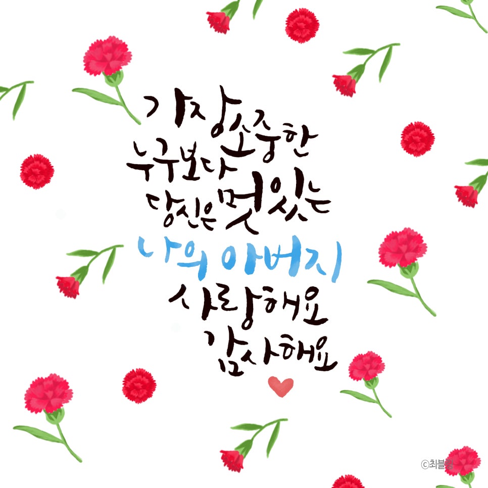 캘리그라피손글씨 어버이날 감사글귀프사카네이션일러스트 감사해요 사랑해요♥ 네이버 블로그