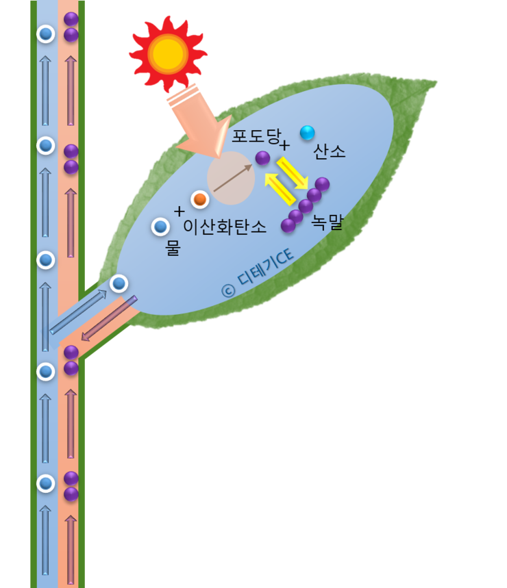 4 1 1 1 산소에 의한 산화 환원 반응 네이버 블로그
