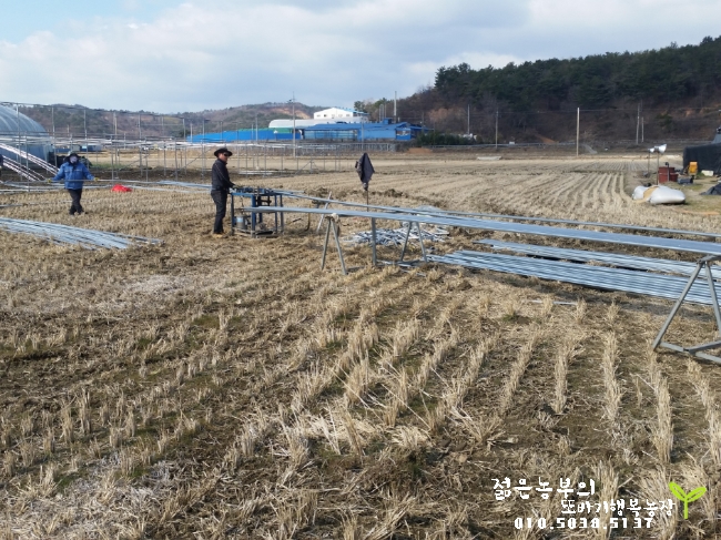 비닐하우스 제작 및 설치 고추 비가림하우스 2 네이버 블로그