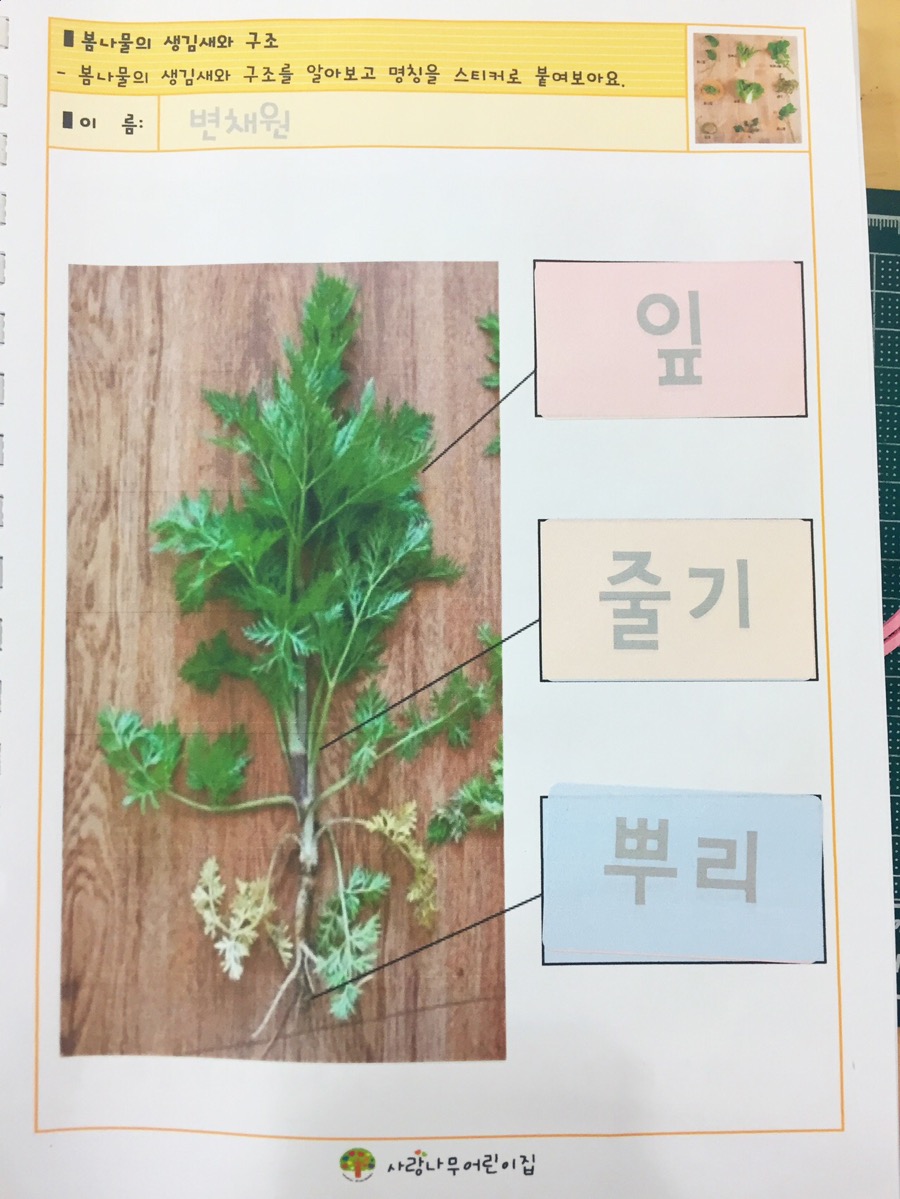 프로젝트자료 4월 프로젝트 봄나물 프로젝트 활동지 네이버 블로그