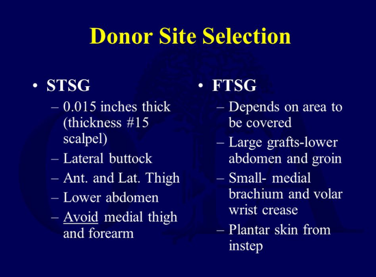 Skin graft(피부이식술, STSG & FTSG) : 네이버 블로그
