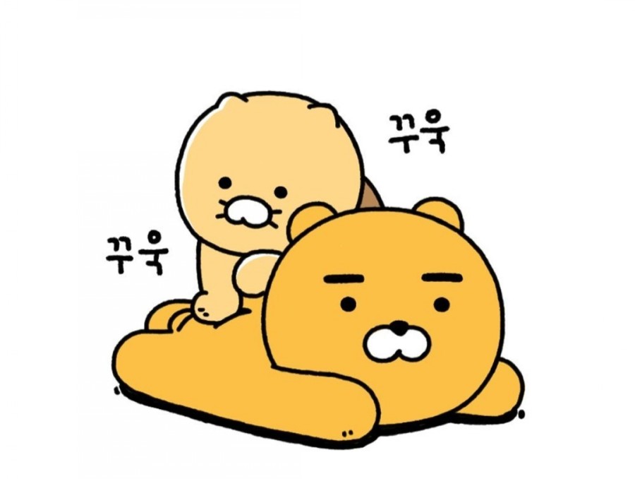 카카오프렌즈 새로운 캐릭터 - 라이언 고양이 춘식이 : 네이버 블로그